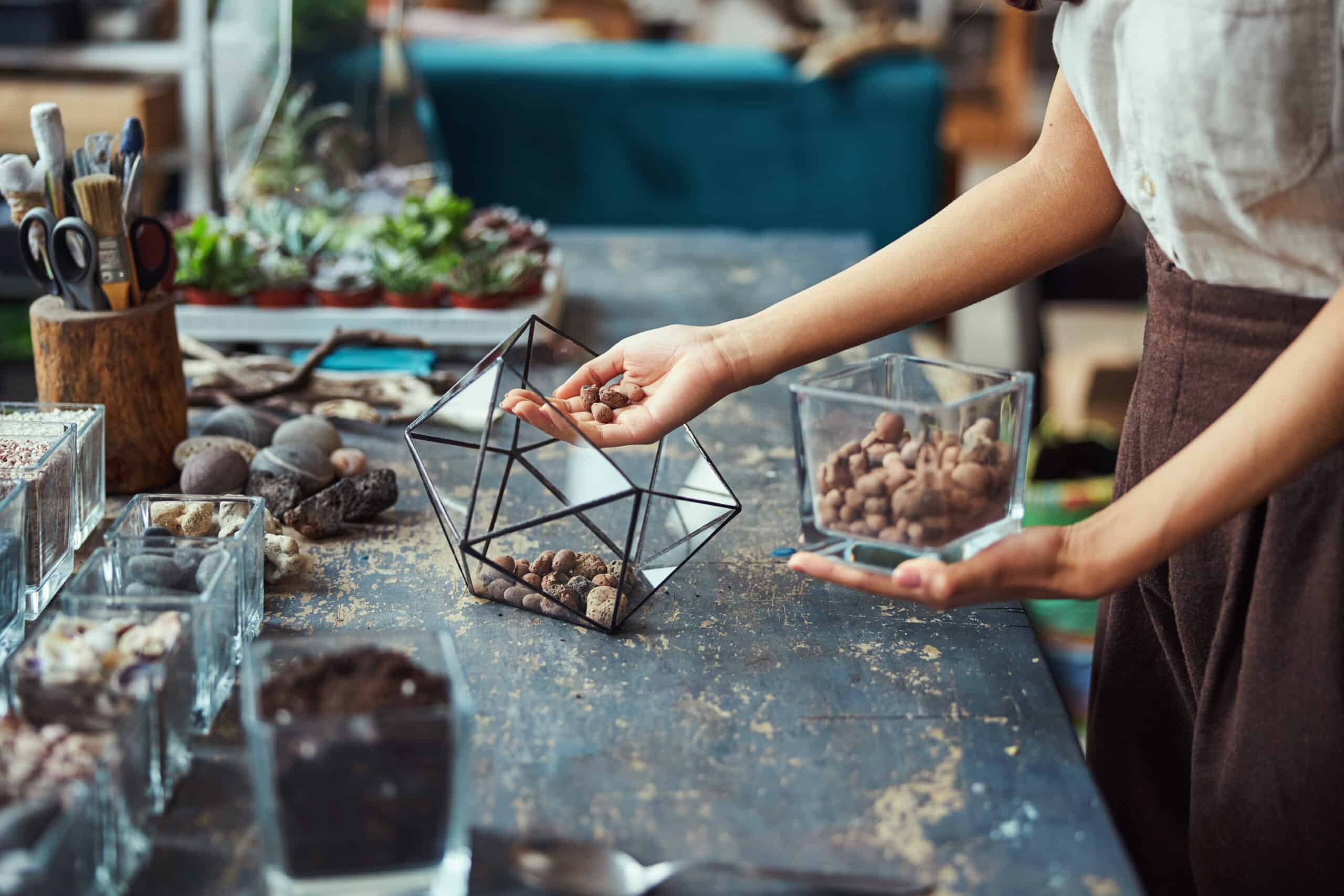 A Rainforest Terrarium With Cacti And Other Plants. Create One.