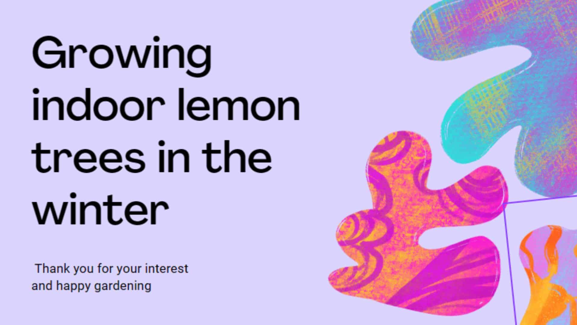 Tips For Winterizing A Lemon Tree In A Container