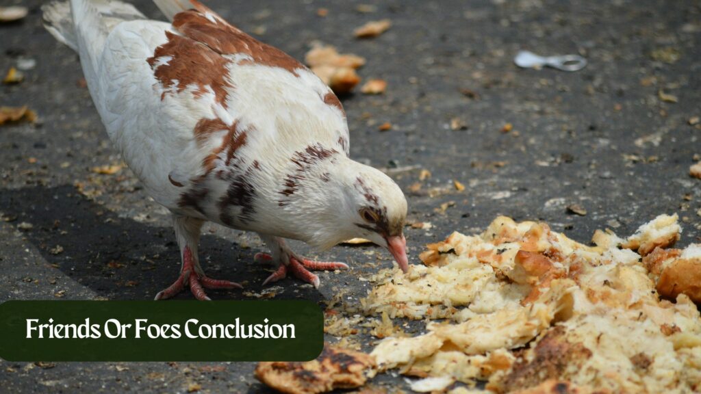 Do Birds Cause Damage To Your Outdoor Plants And Trees?