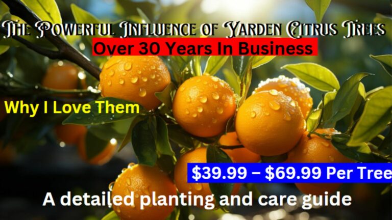 Dean's Quality Plants