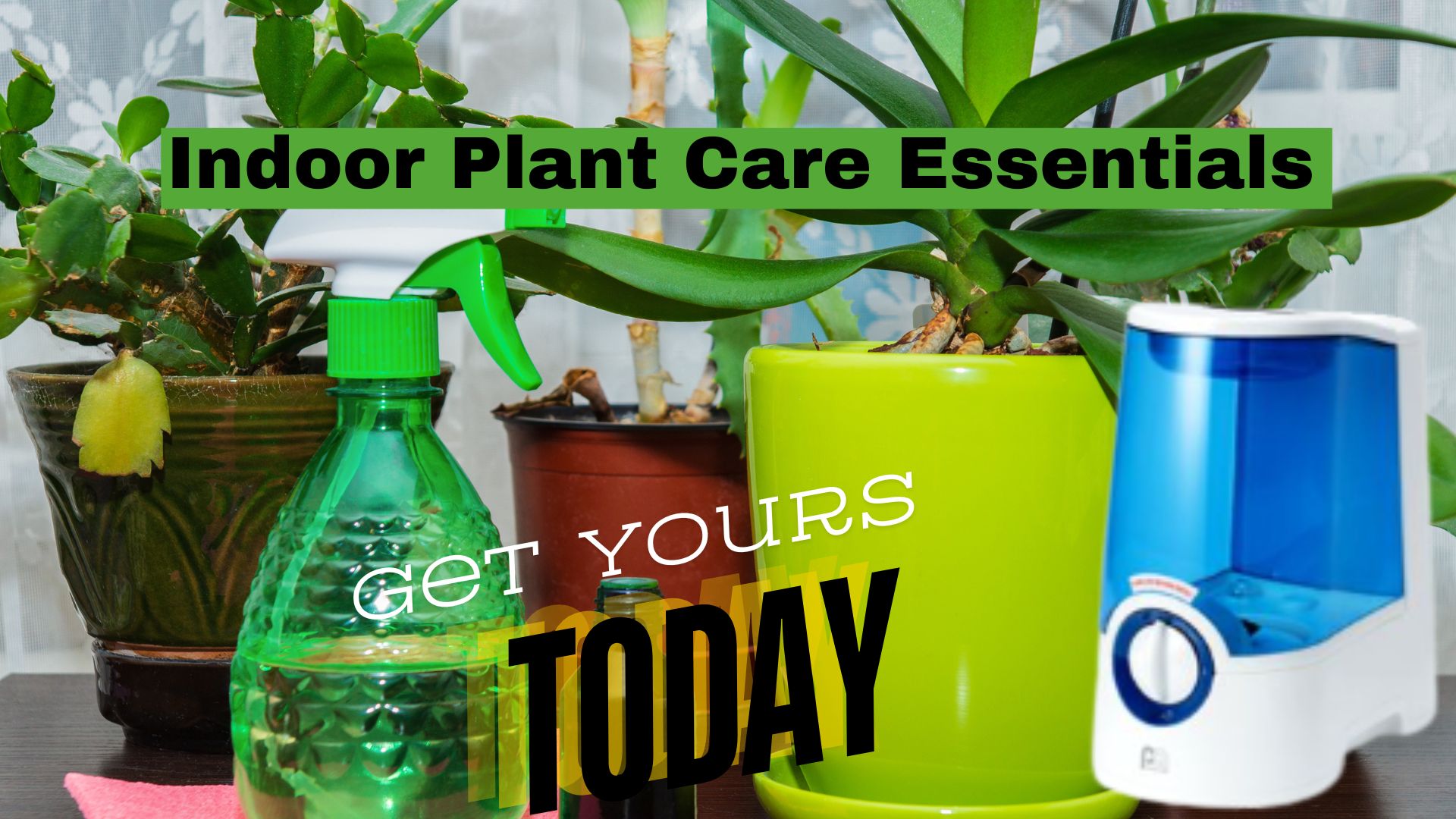 Top Indoor Plant Care Products - DEANS QUALITY PLANTS